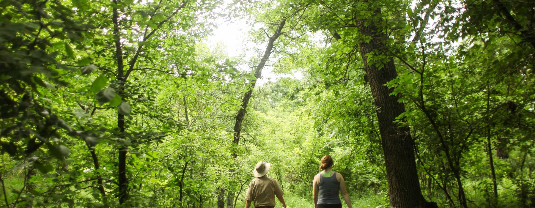 Fort Ransom State Park | North Dakota Parks and Recreation
