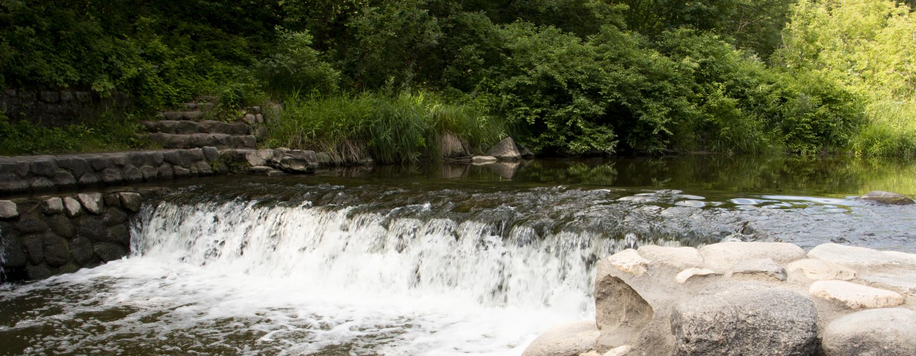 Turtle River State Park | North Dakota Parks and Recreation