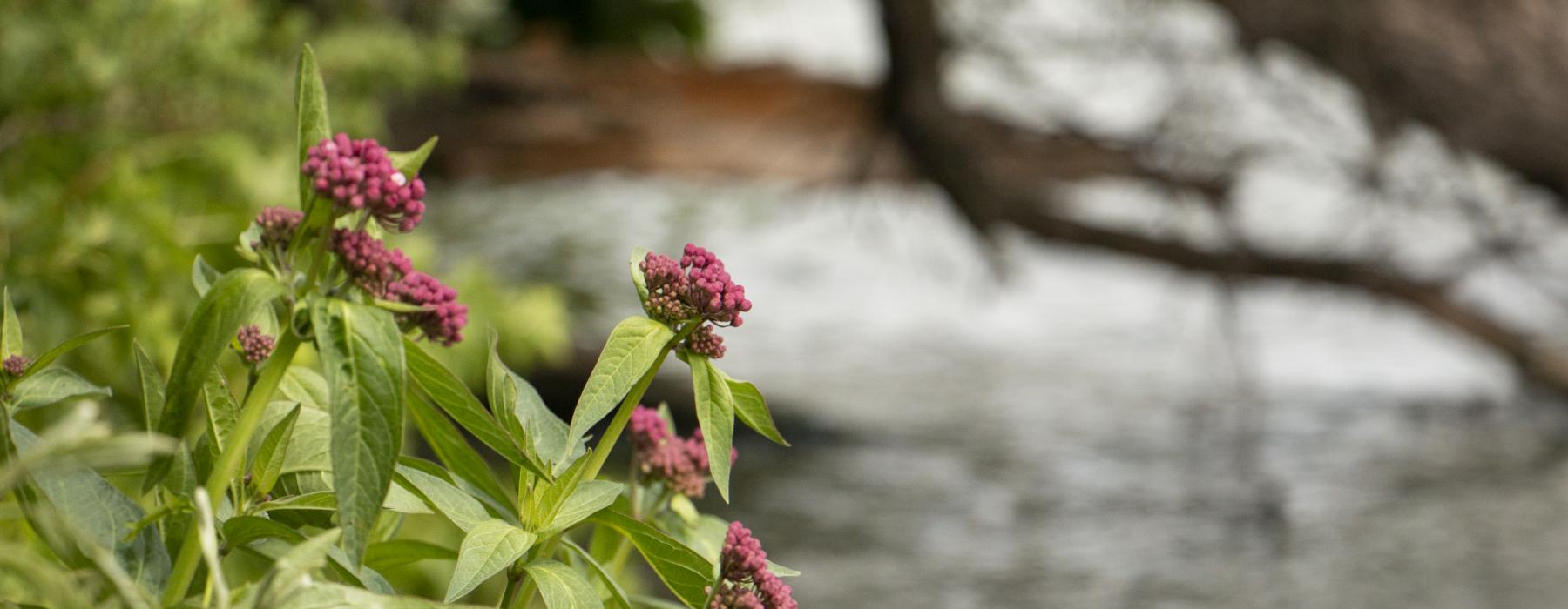 Beaver Lake State Park | North Dakota Parks and Recreation