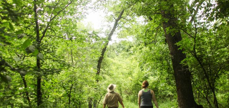 Fort Ransom State Park | North Dakota Parks and Recreation
