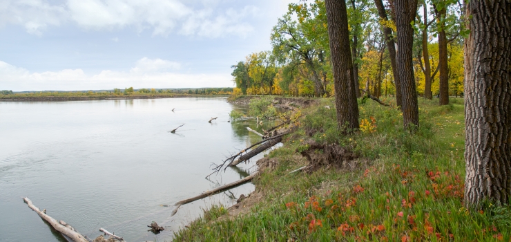 Cross Ranch State Park | North Dakota Parks and Recreation