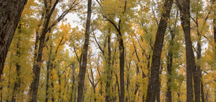 Cross Ranch State Park | North Dakota Parks and Recreation